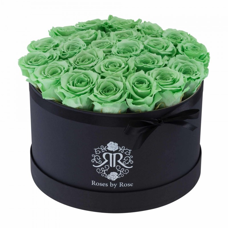 Mint - Longlife Roses