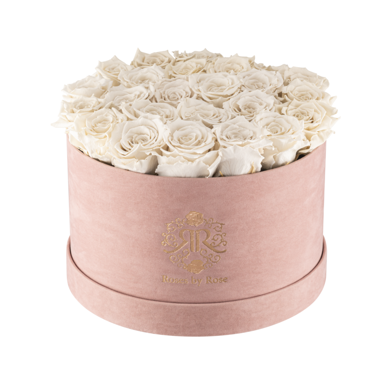Velvet Pastel Pink - Longlife Roses