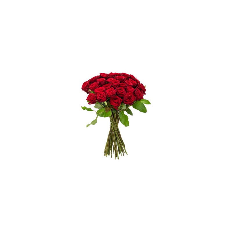 Just Roses Simply Red: Verse Rode Rozen met Versgarantie